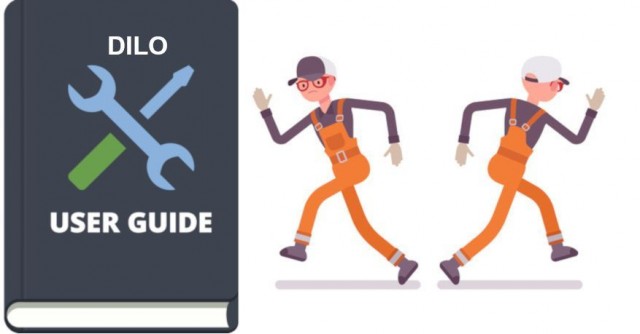 DILO (Day In the Life Of) Observation - How -To practical guide