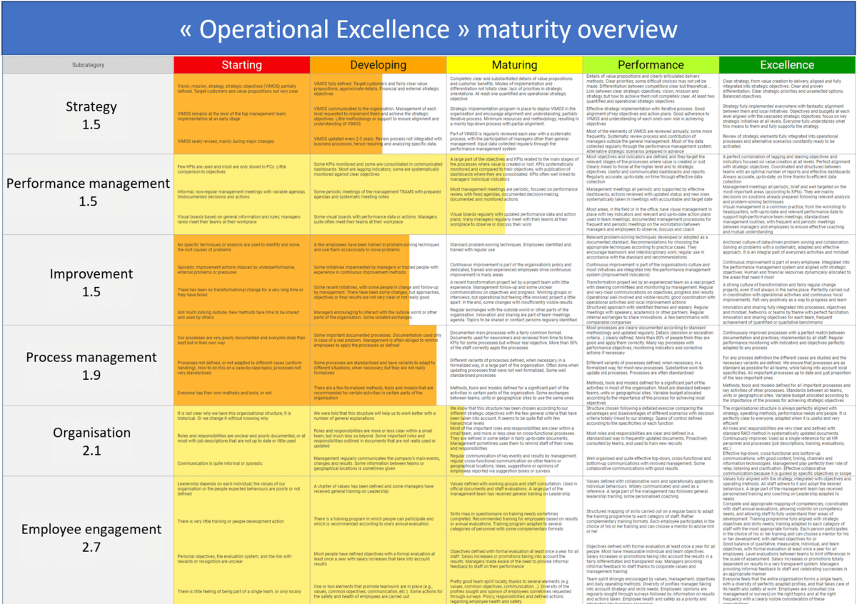 Operational Excellence in a Multinational Corporation