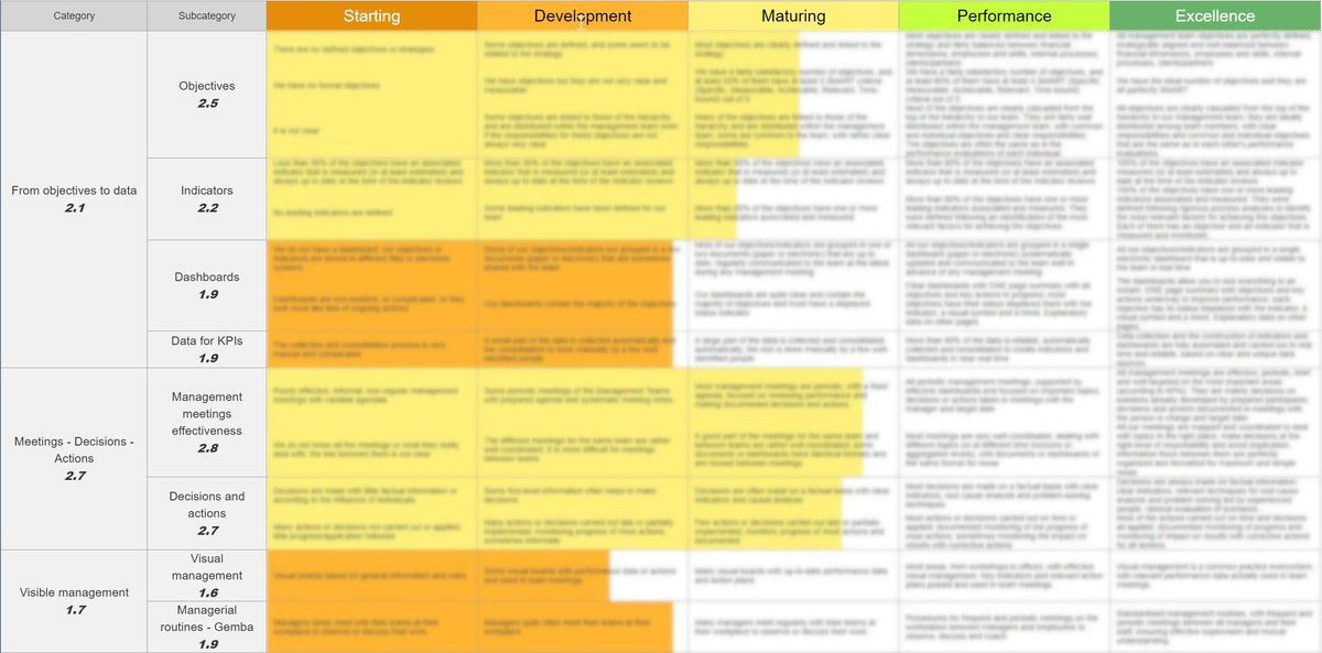 Performance management maturity level assessment
