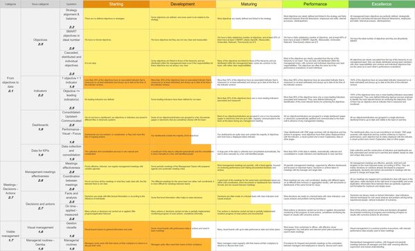 Performance management maturity level assessment