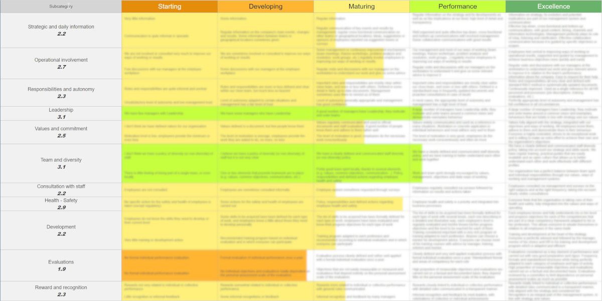 Employee engagement maturity